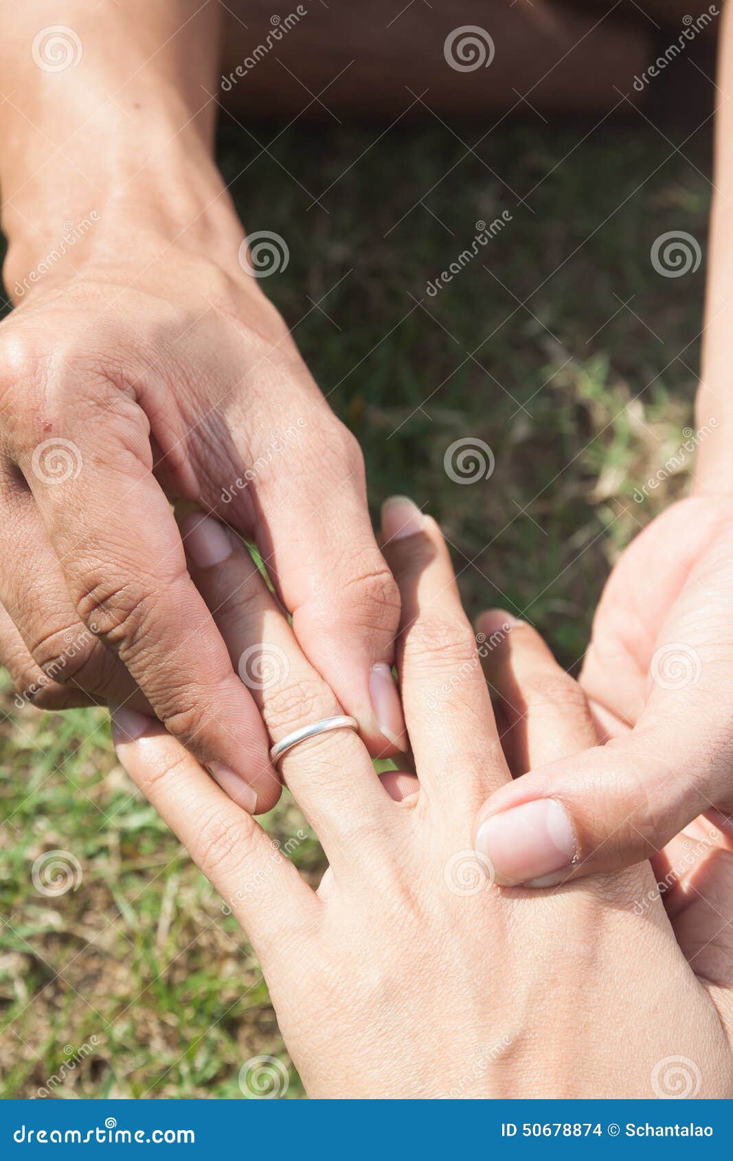 Wedding ring exchange stock photo. Image of bands, fingers - 50678874