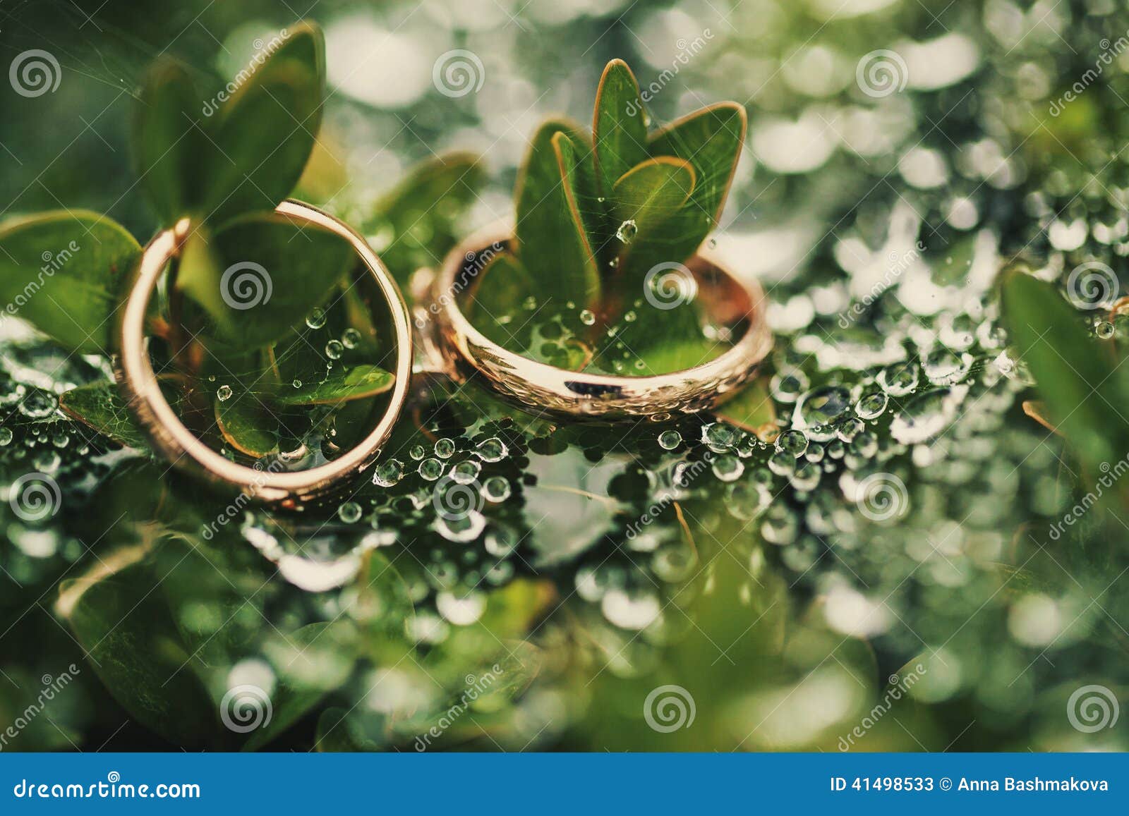 Wedding-ring on green stock image. Image of ideas, lady - 41498533