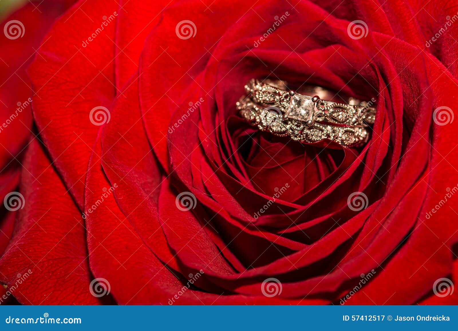 Wedding Ring and Red Roses stock image. Image of marriage - 57412517