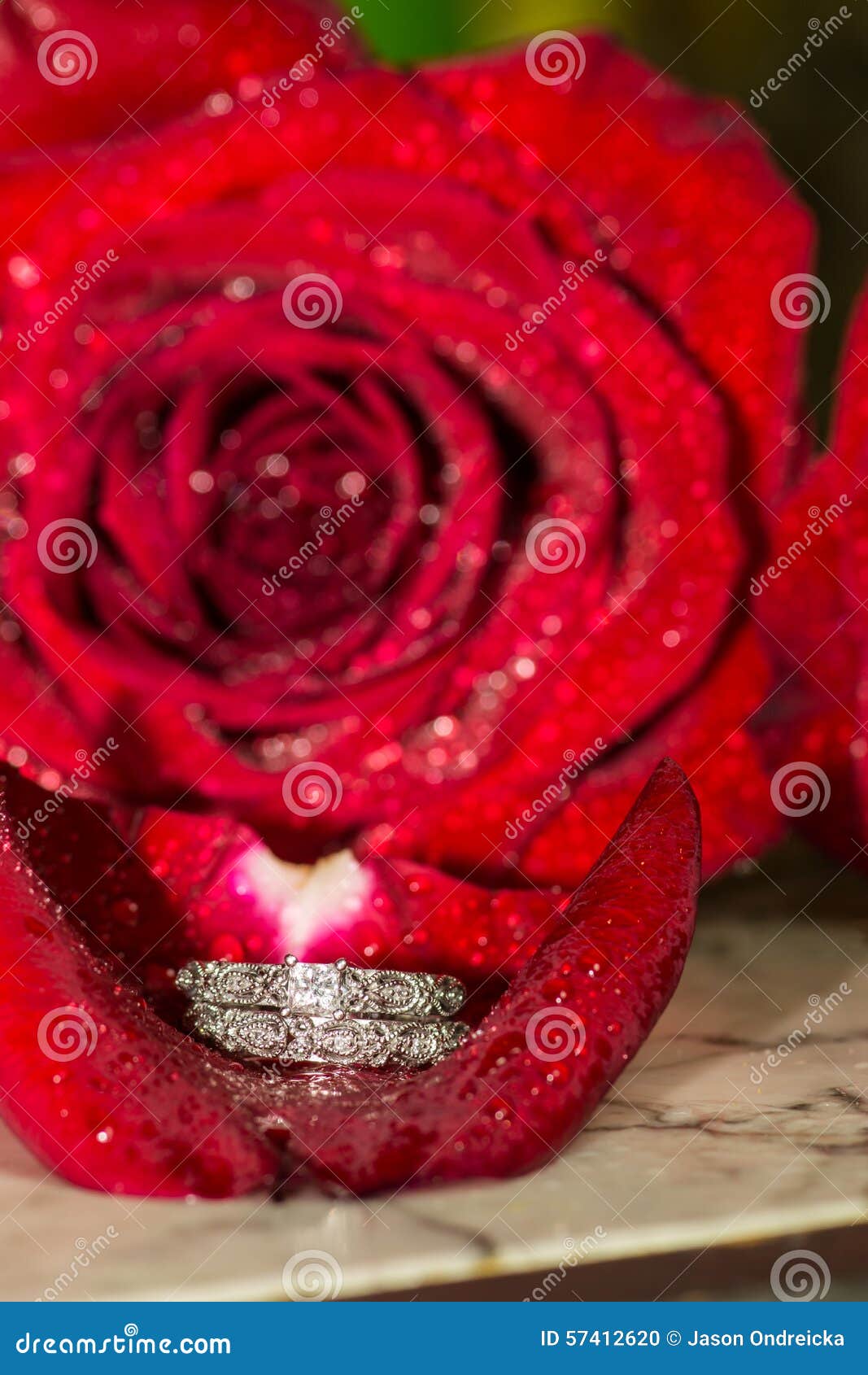 Wedding Ring and Red Roses stock photo. Image of lifelong - 57412620