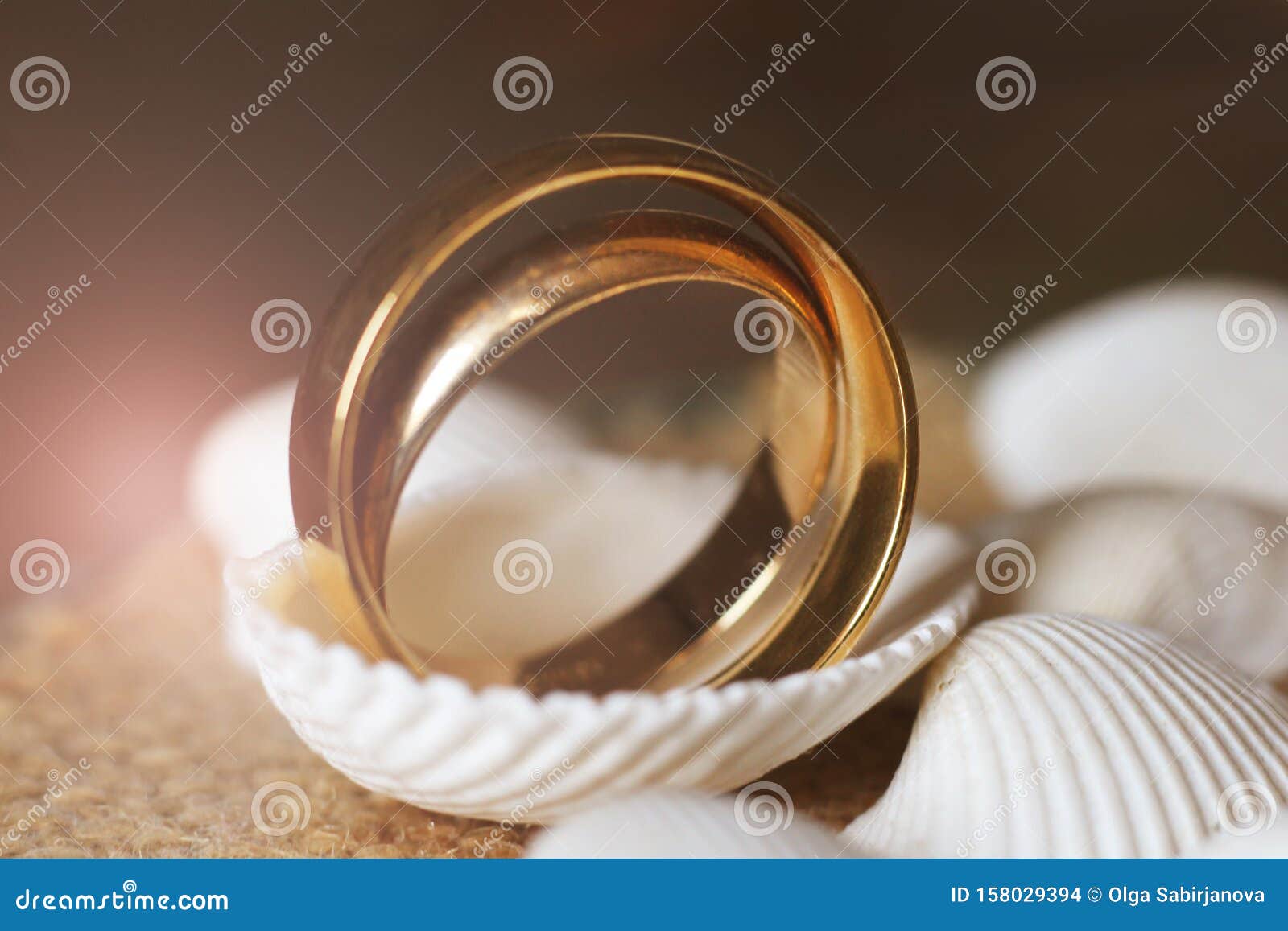 Wedding Ring in a Shell so Close Stock Photo - Image of couple, pair ...