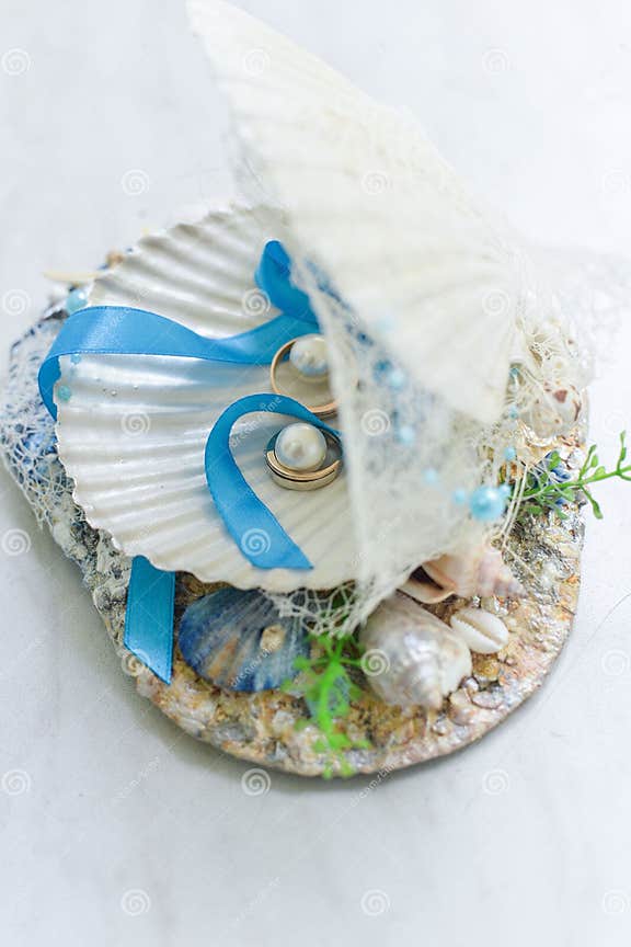 Wedding ring in a shell stock photo. Image of ceremony - 73208822