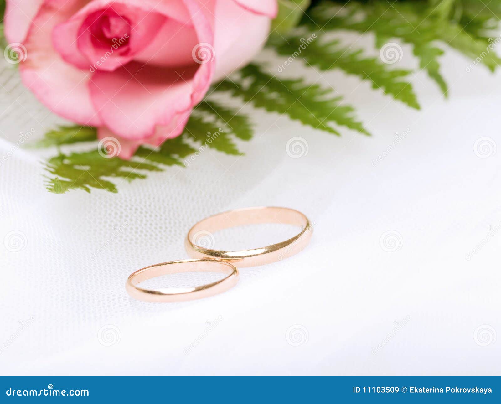 Wedding rings stock image. Image of pair, sacrament, closeup - 11103509