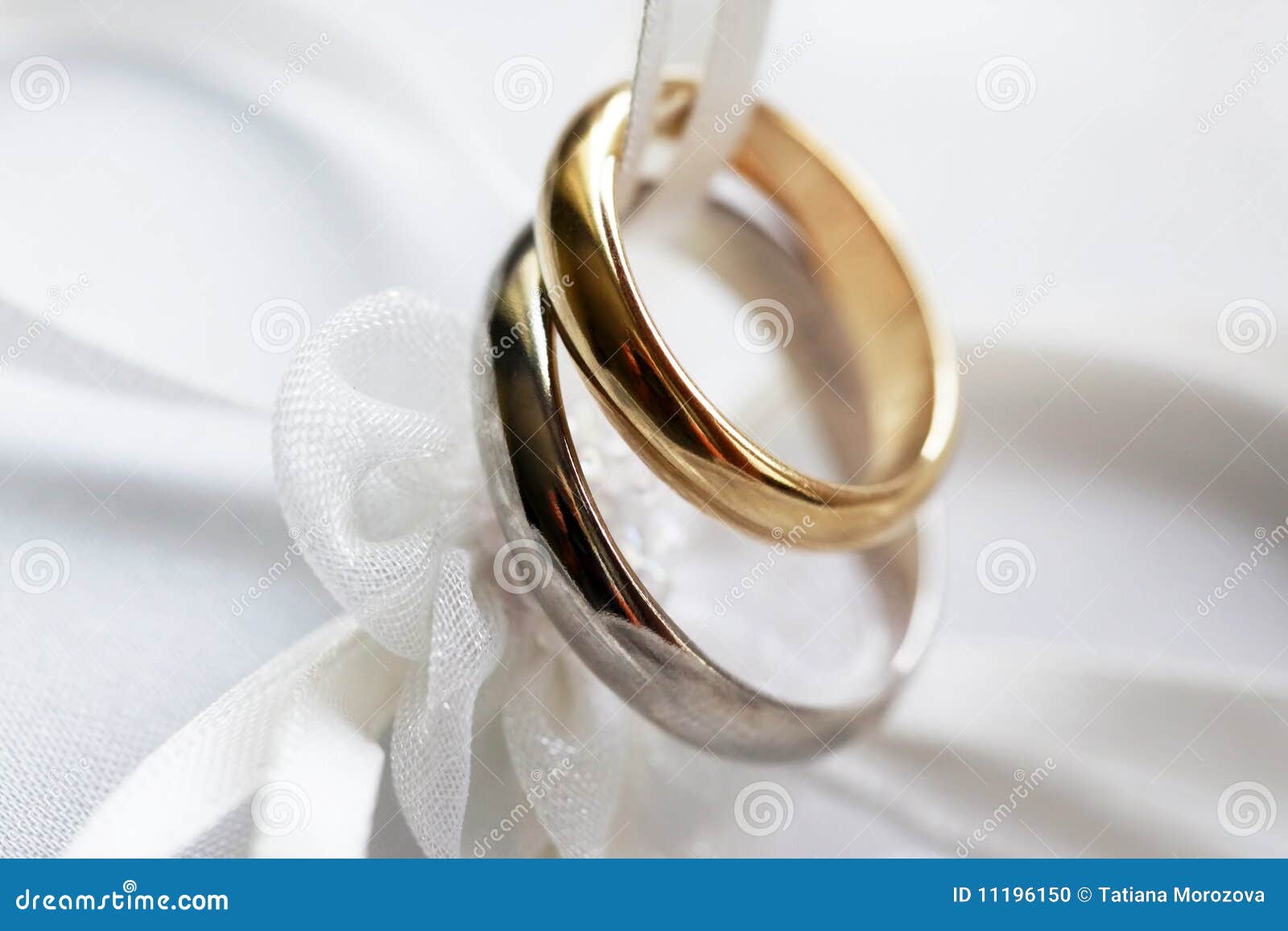 Wedding rings stock photo. Image of elegant, jewellery - 11196150
