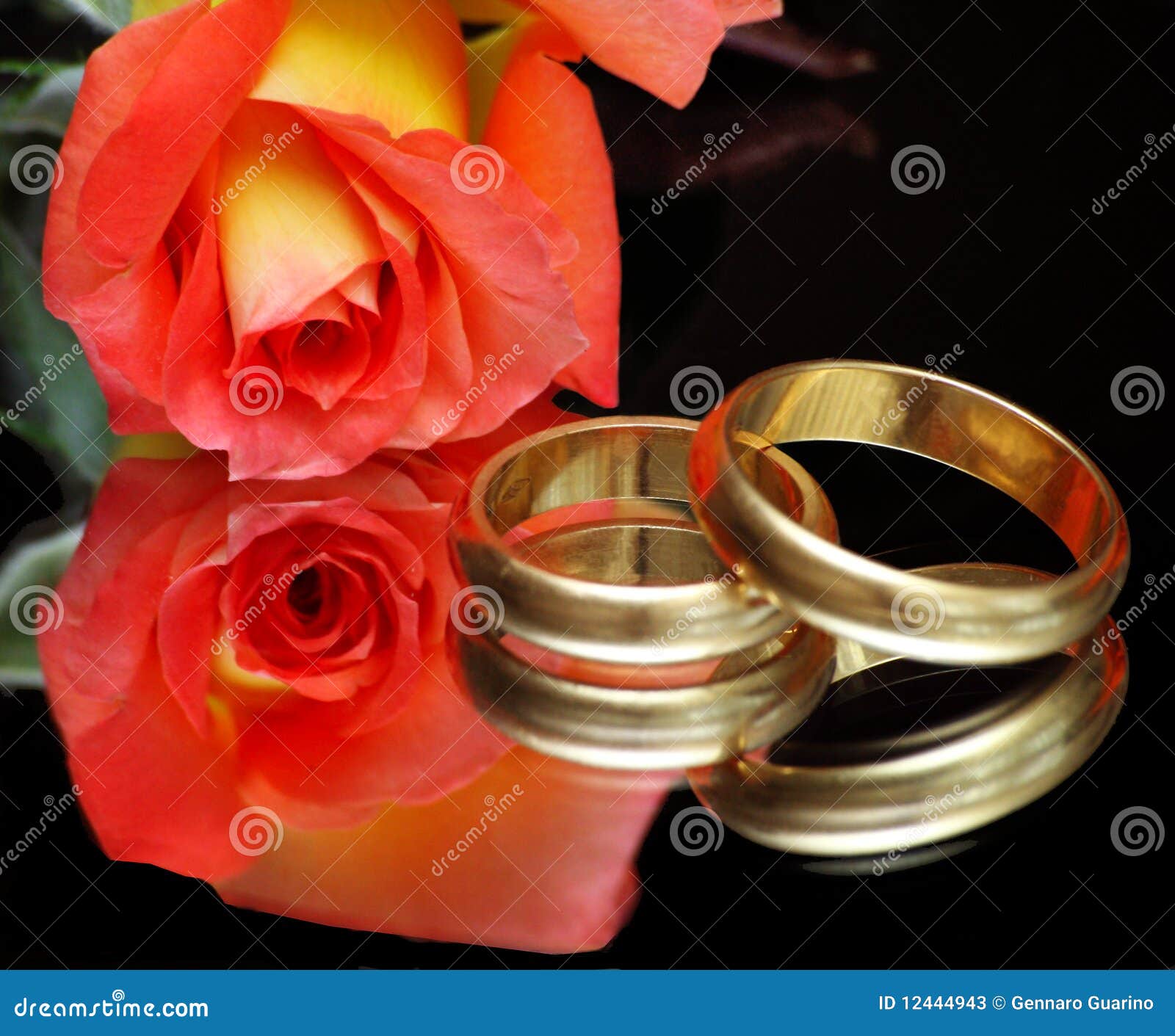 Wedding rings stock image. Image of happiness, fall, colour - 12444943