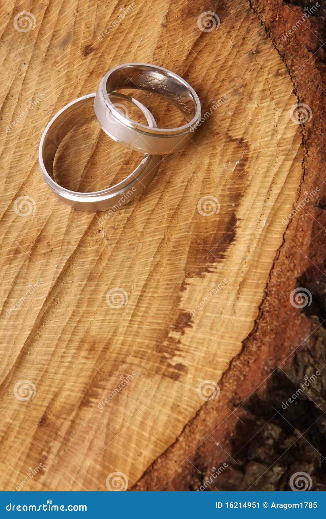 Wedding rings stock image. Image of marriage, married - 16214951