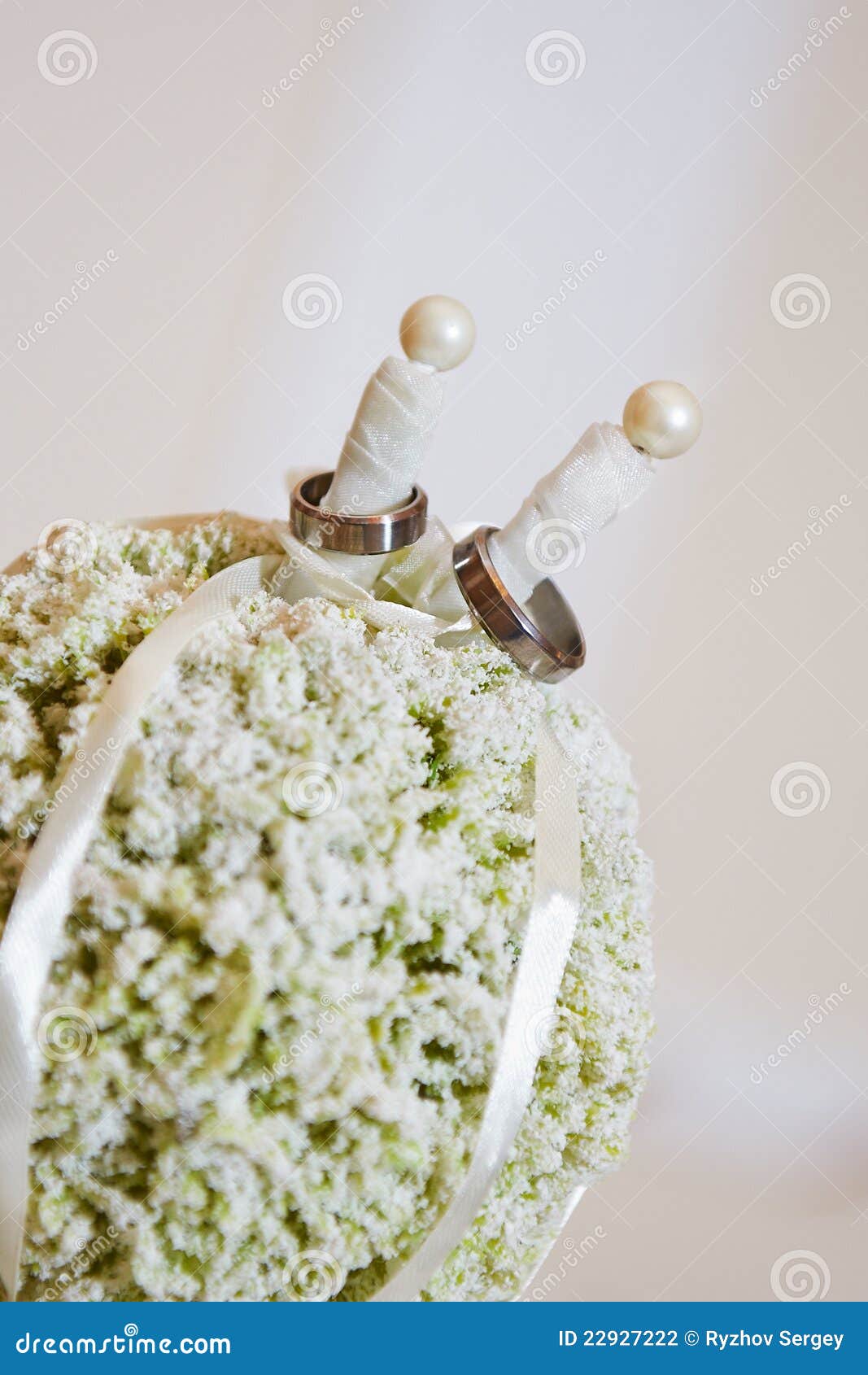 Wedding rings stock photo. Image of happy, designer, style - 22927222