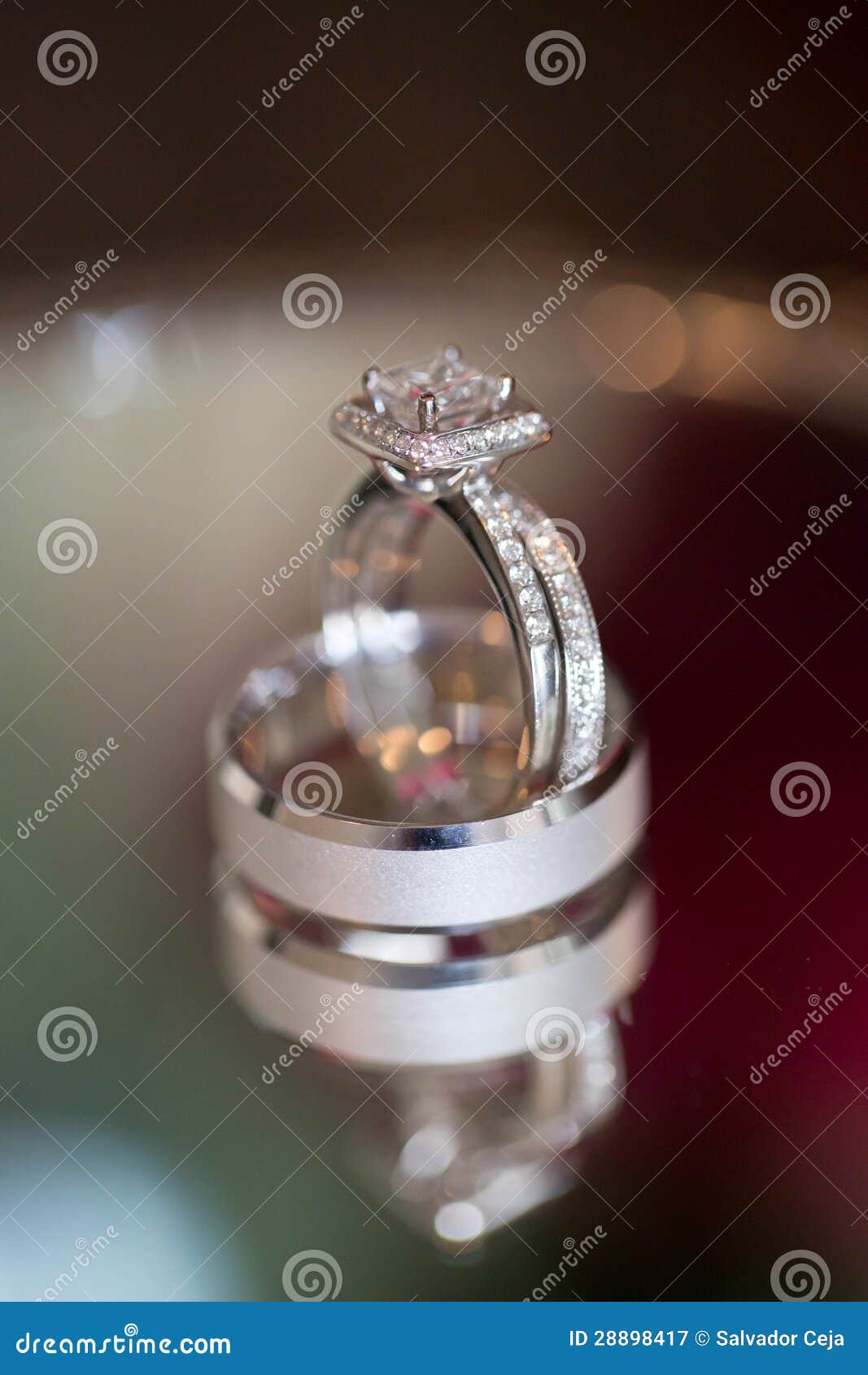 Wedding Rings stock image. Image of flowers, fashion - 28898417