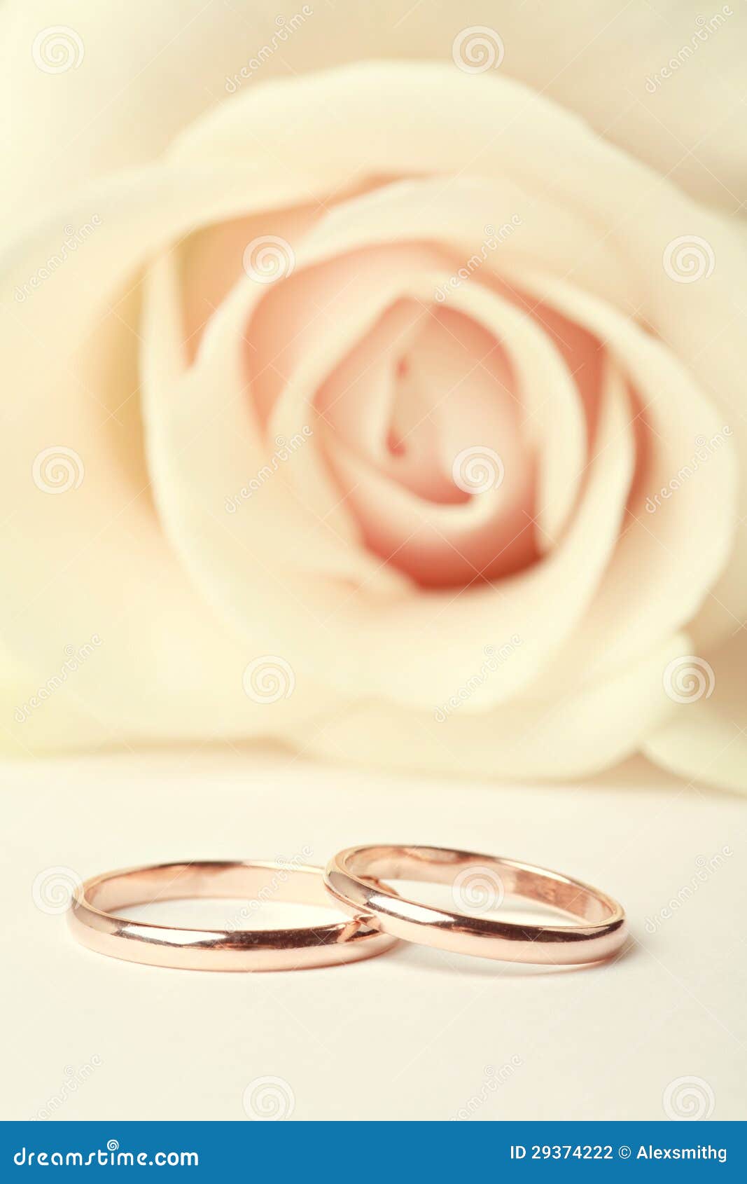 Wedding rings stock photo. Image of love, gift, anniversary - 29374222