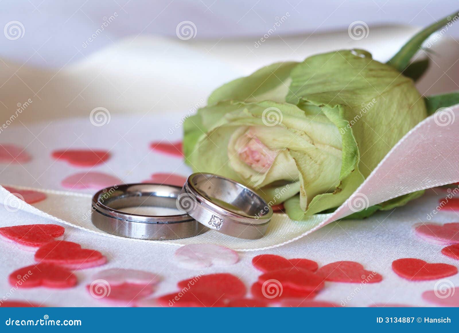 Wedding rings stock image. Image of bride, happy, celebration - 3134887