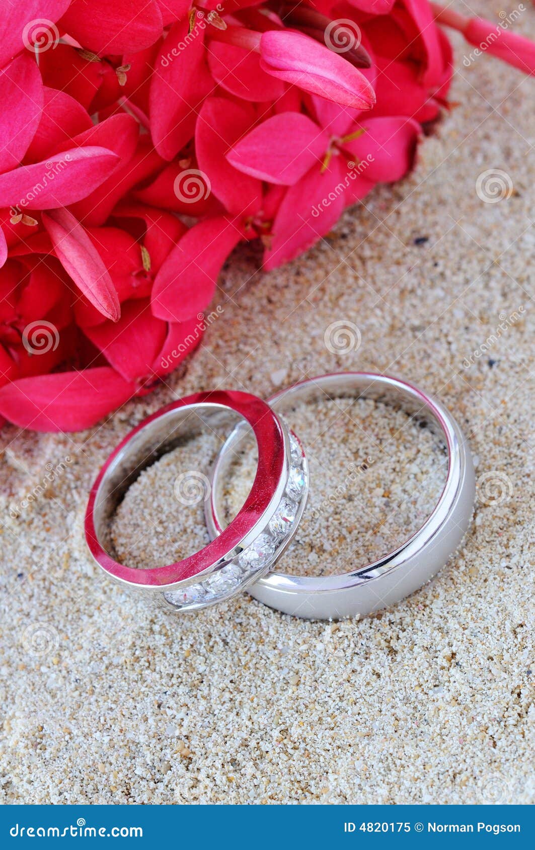 Wedding Rings stock image. Image of male, marry, marriage - 4820175