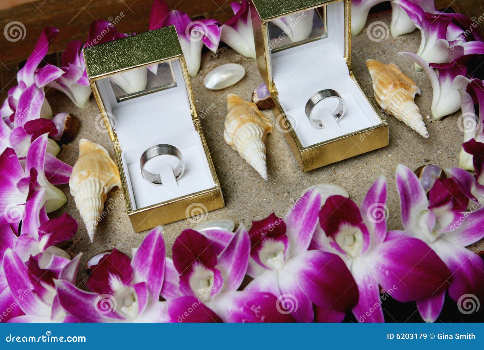 Wedding rings stock image. Image of marriage, display - 6203179
