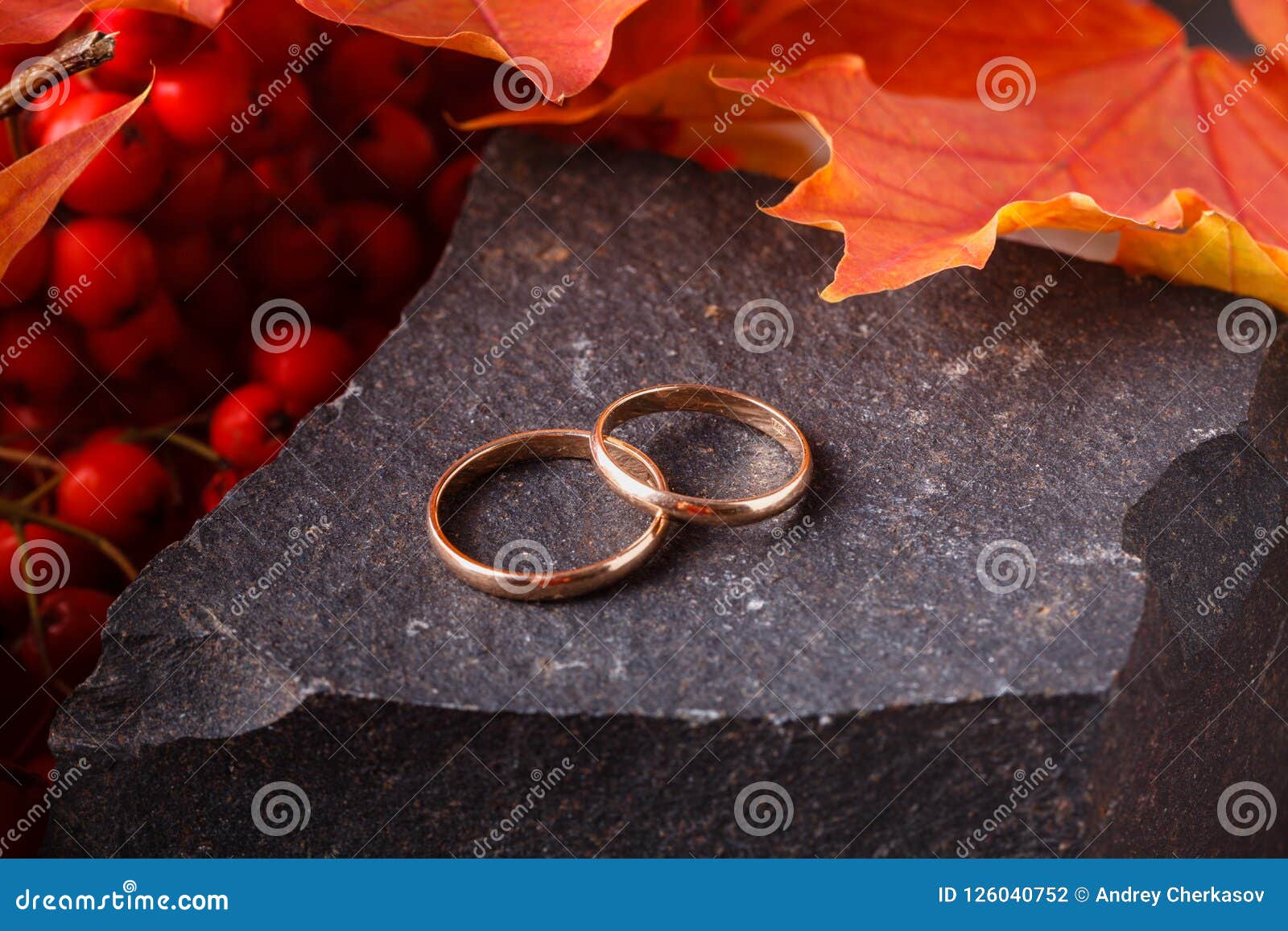 Wedding Rings on Autumn Background Stock Photo - Image of marriage ...