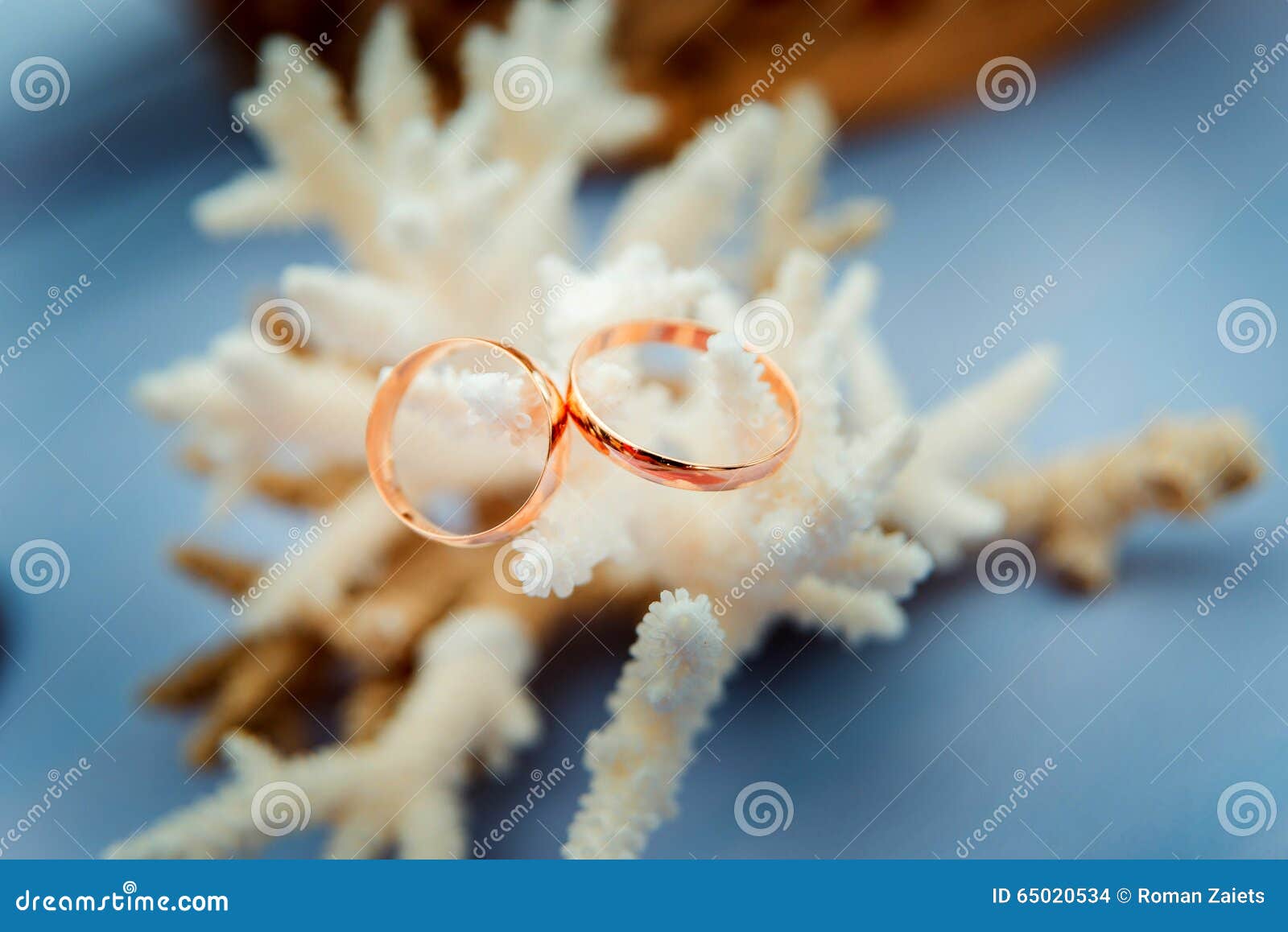 Wedding Rings on a Background of Corals Stock Photo - Image of ...