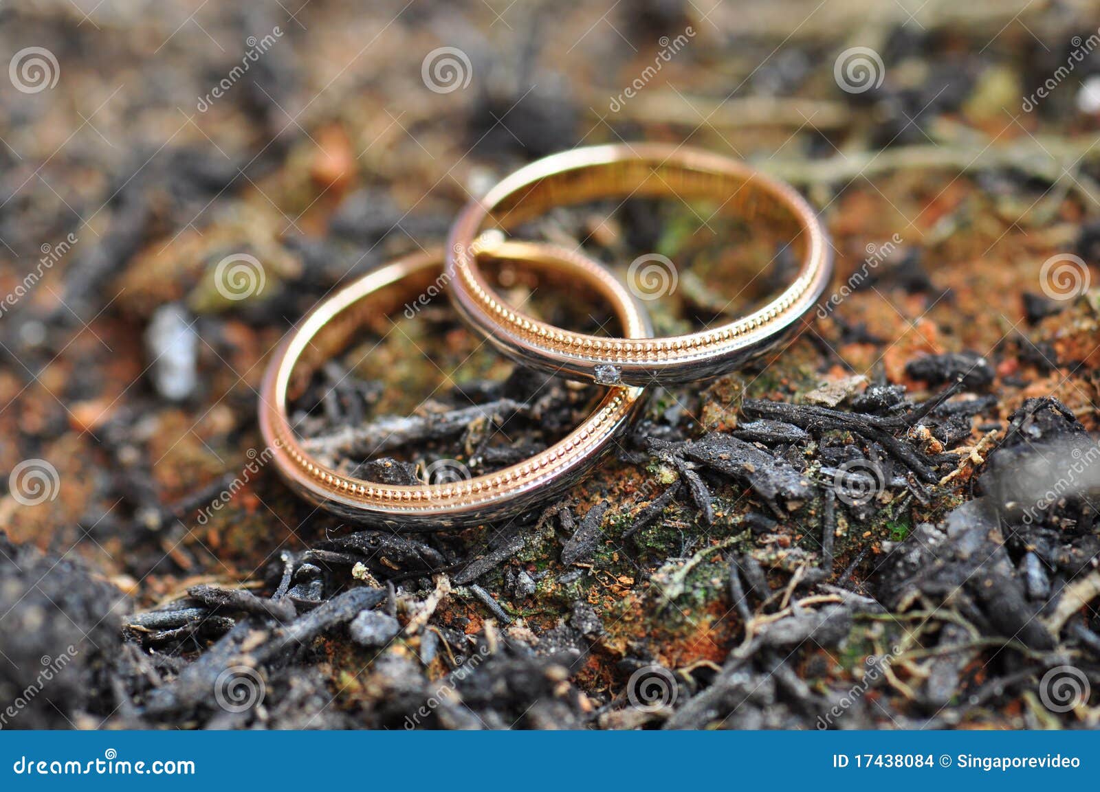 Wedding Rings on Barren Ground Stock Photo - Image of bride, church ...