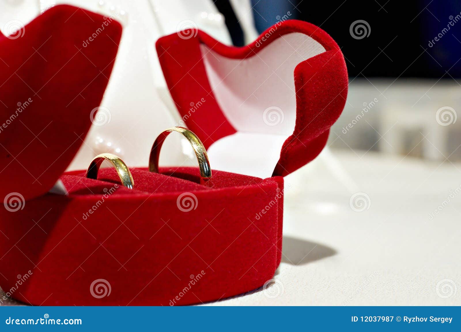 Wedding Rings in a Beautiful Case Stock Image - Image of beauty, pure ...
