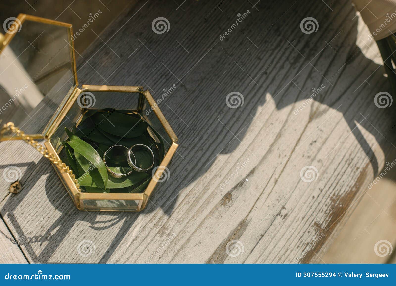 Wedding Rings in a Beautiful Package Stock Photo - Image of marriage ...