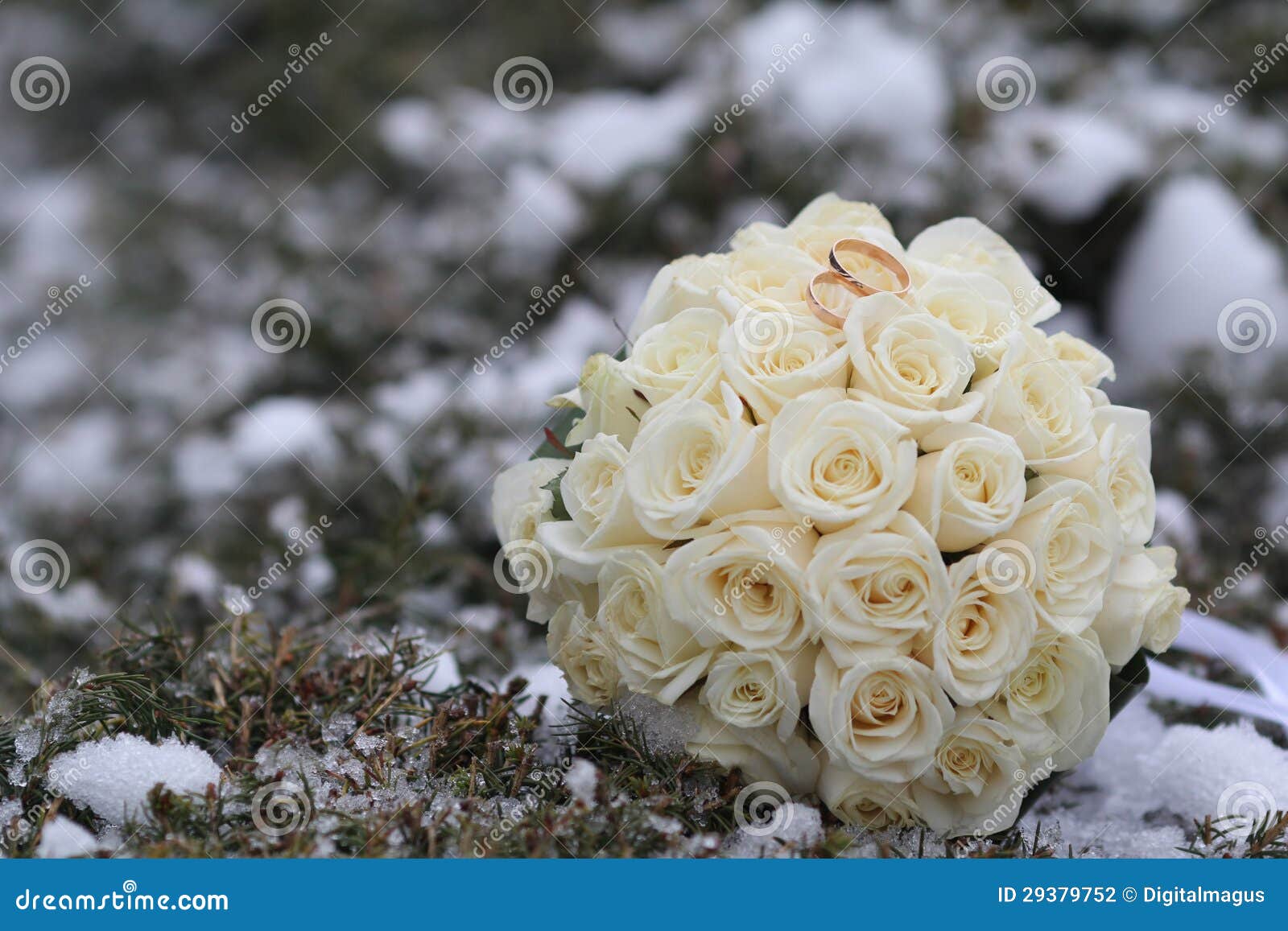 Wedding Rings with Bouquet of Winter Stock Photo - Image of jewel, ring ...