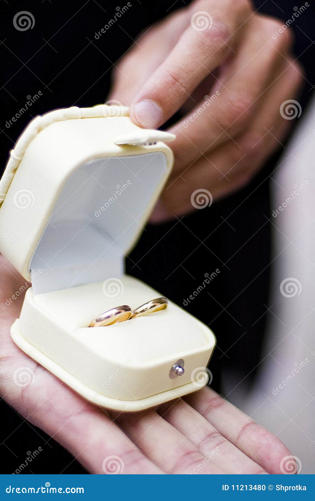 Wedding rings in a box stock photo. Image of union, suit - 11213480