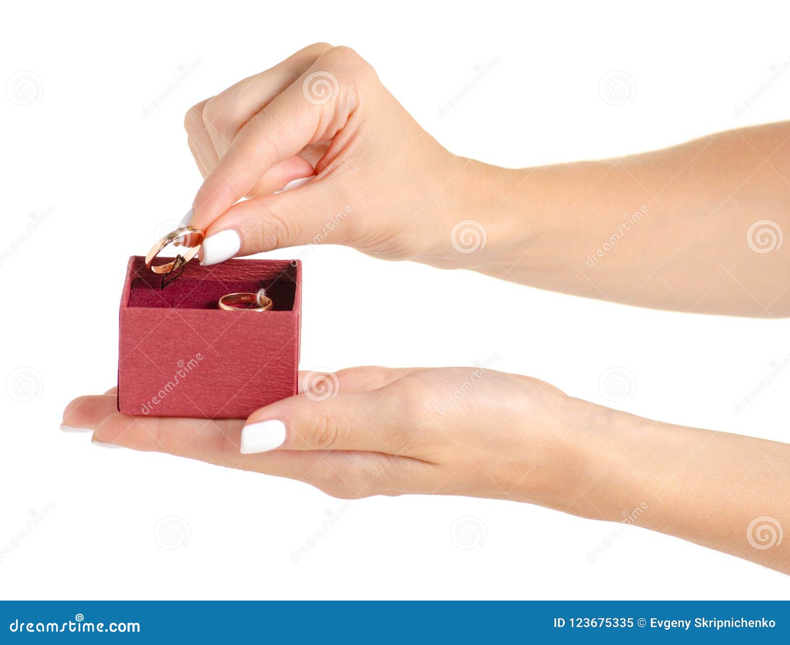 Wedding Rings in a Box in Hand Stock Image - Image of love, gold: 123675335