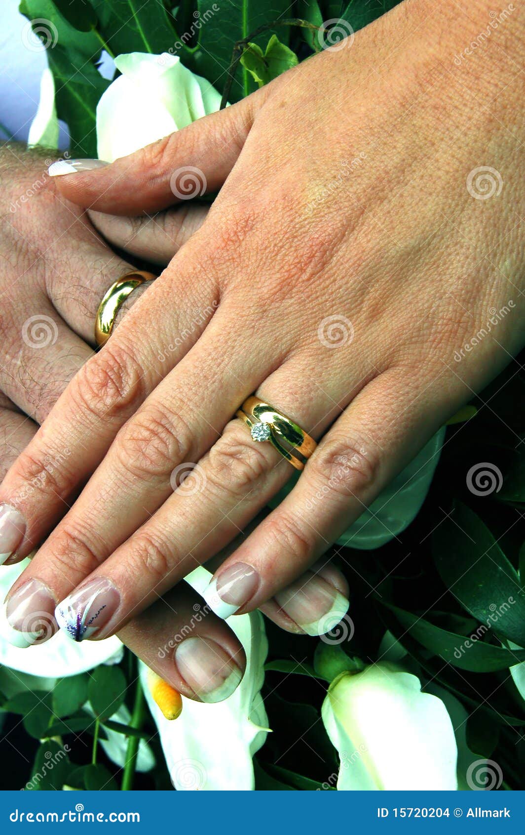 Wedding Rings on Bride and Grooms Fingers Stock Photo - Image of couple ...
