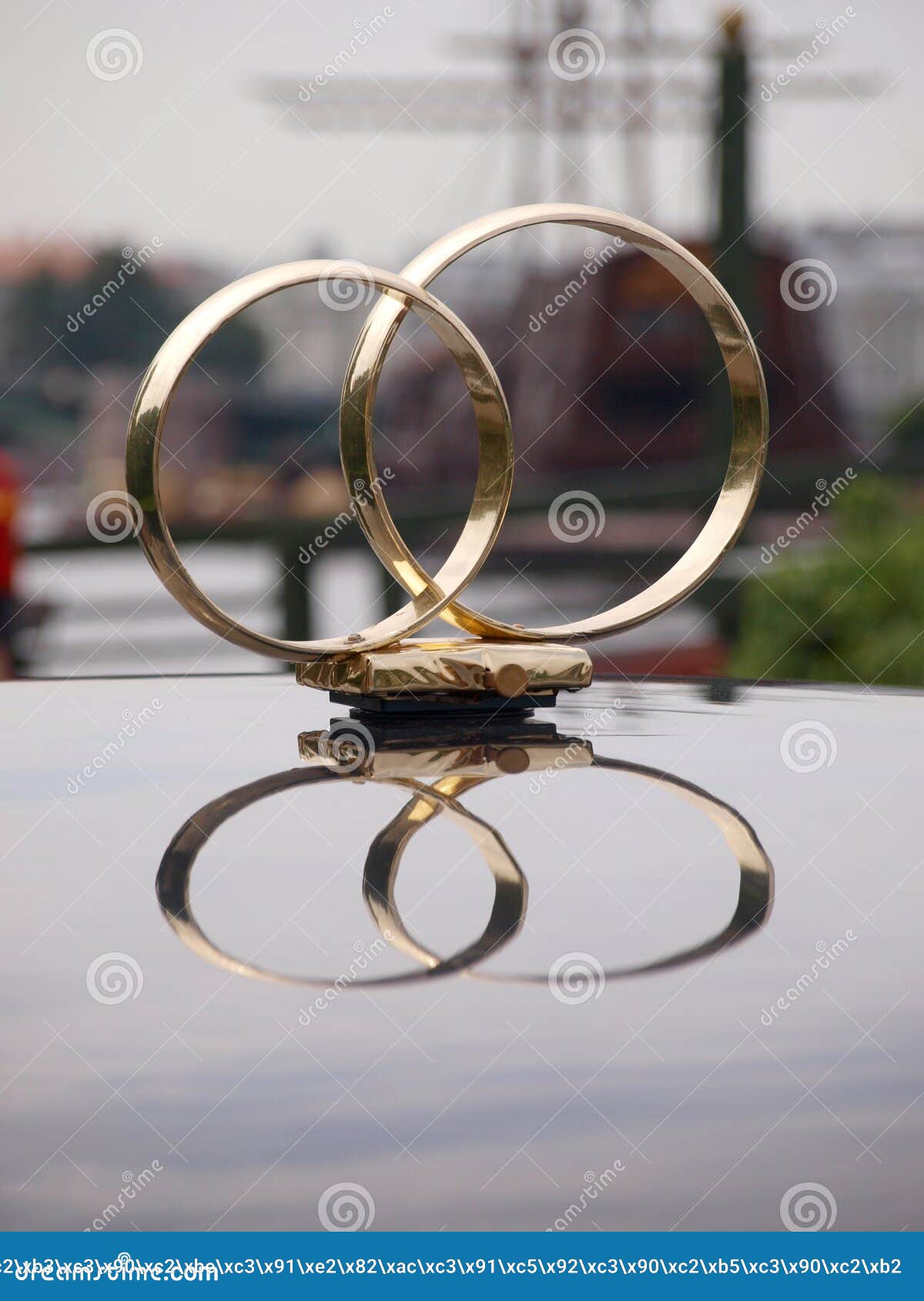 Wedding rings on car stock photo. Image of equipment - 84047404