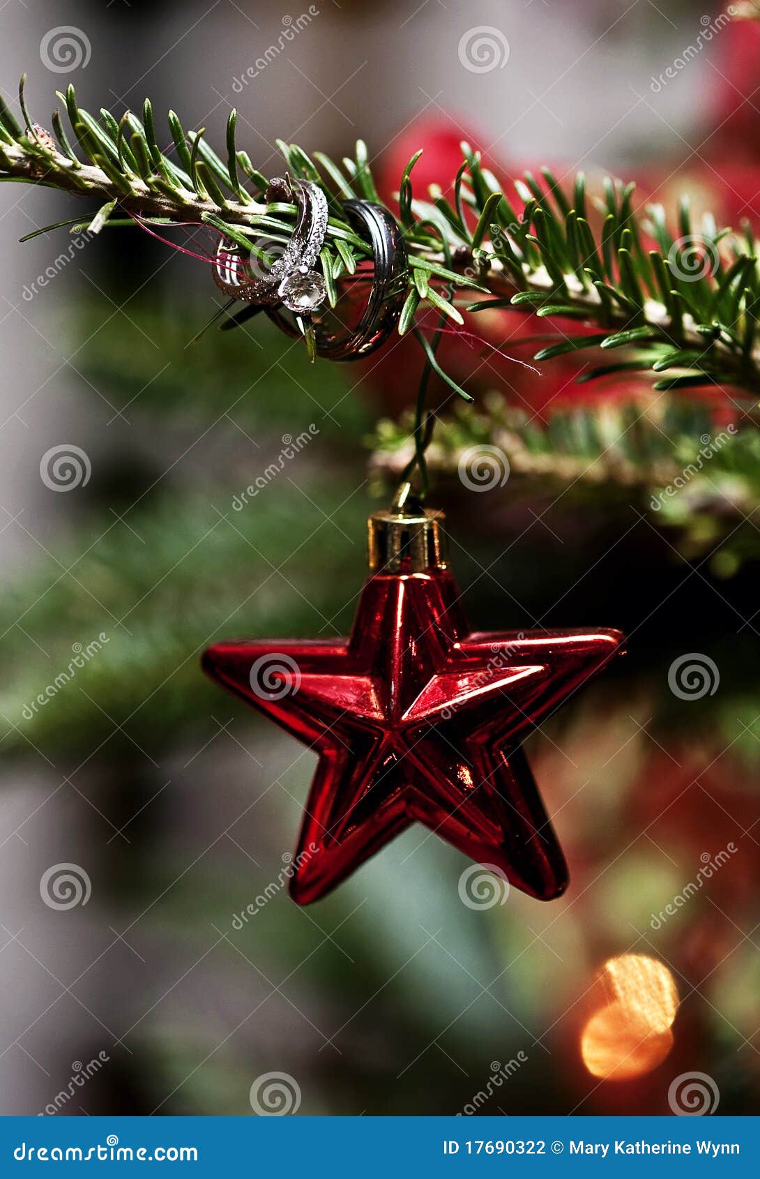 Wedding Rings on Christmas Ornament Stock Photo - Image of tree, joined ...