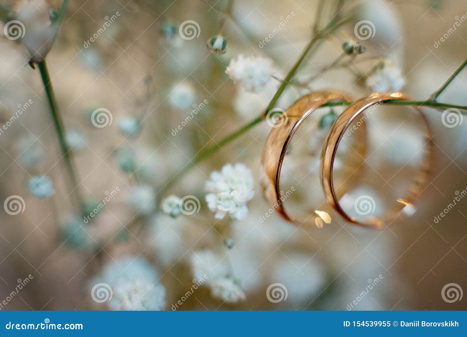 Wedding Wedding Rings, Close-up Stock Image - Image of husband, holiday ...