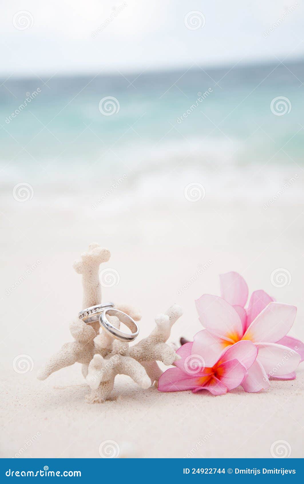 Wedding Rings on Coral in Front of the Seaside Stock Photo - Image of ...