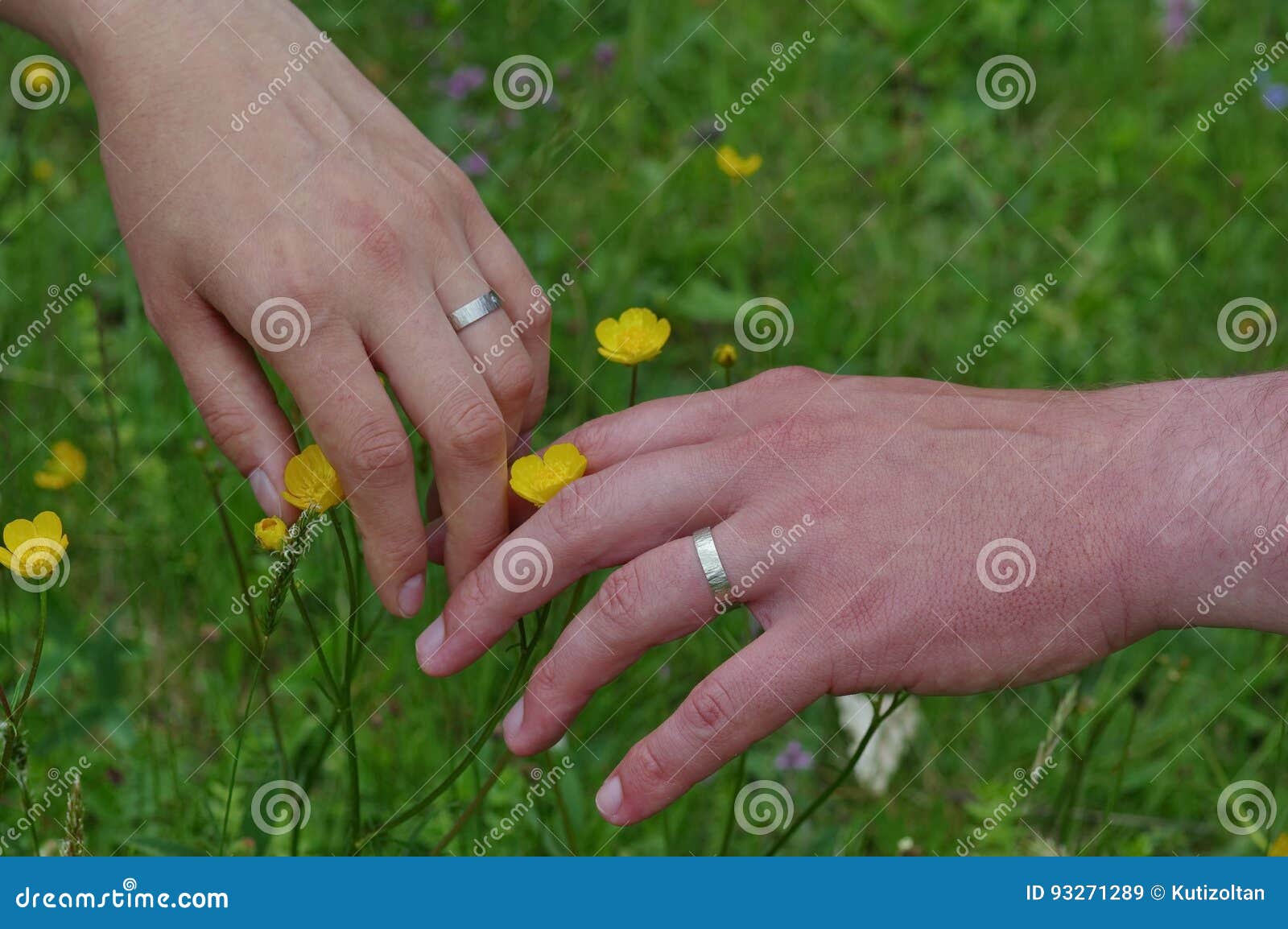 Wedding rings stock image. Image of flower, finger, couple - 93271289