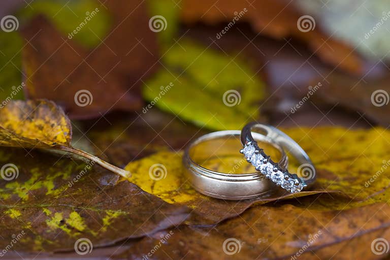 Wedding Rings in the Fall stock image. Image of wedding - 4973357