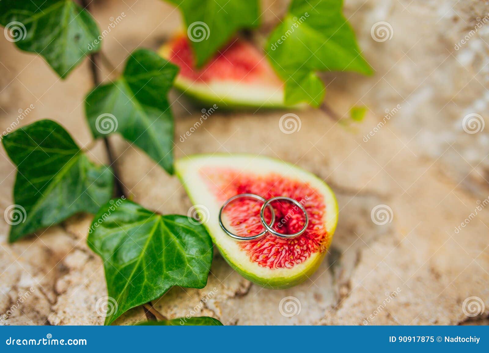 Wedding rings on figs stock image. Image of engagement - 90917875