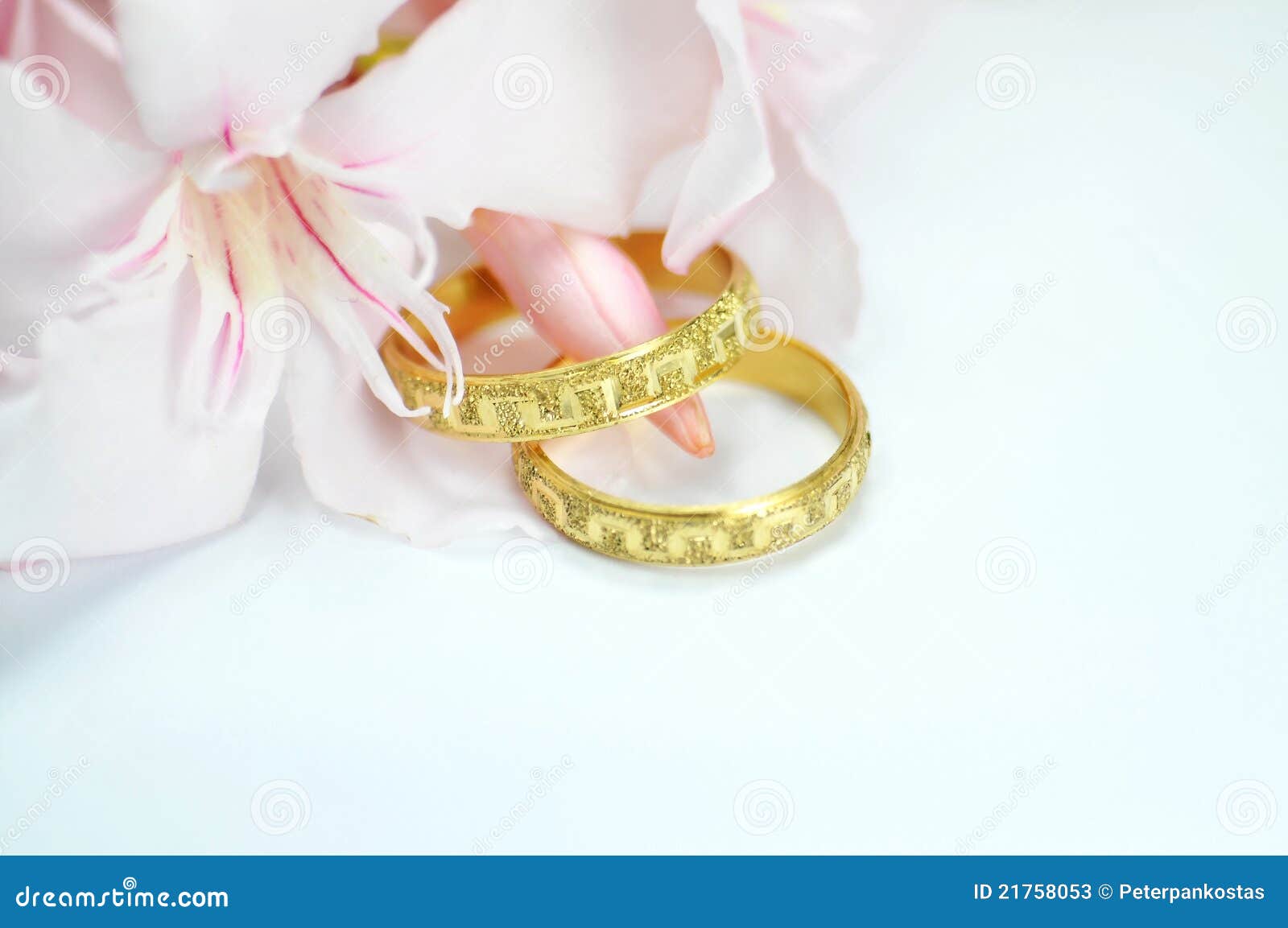 Wedding Rings with Flower on Blue Background Stock Image - Image of ...