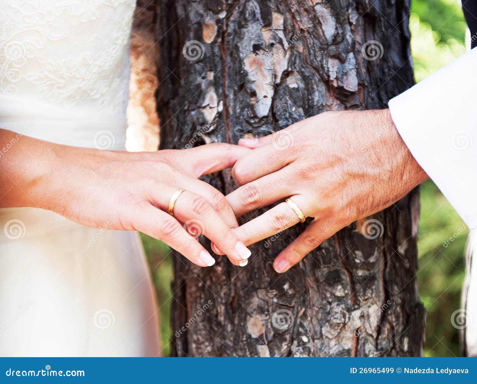 Wedding Rings on Hands Newlyweds Stock Image - Image of marry, nails ...