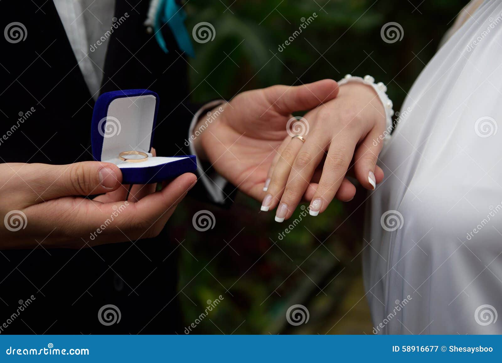 Wedding rings stock image. Image of family, husband, ring - 58916677