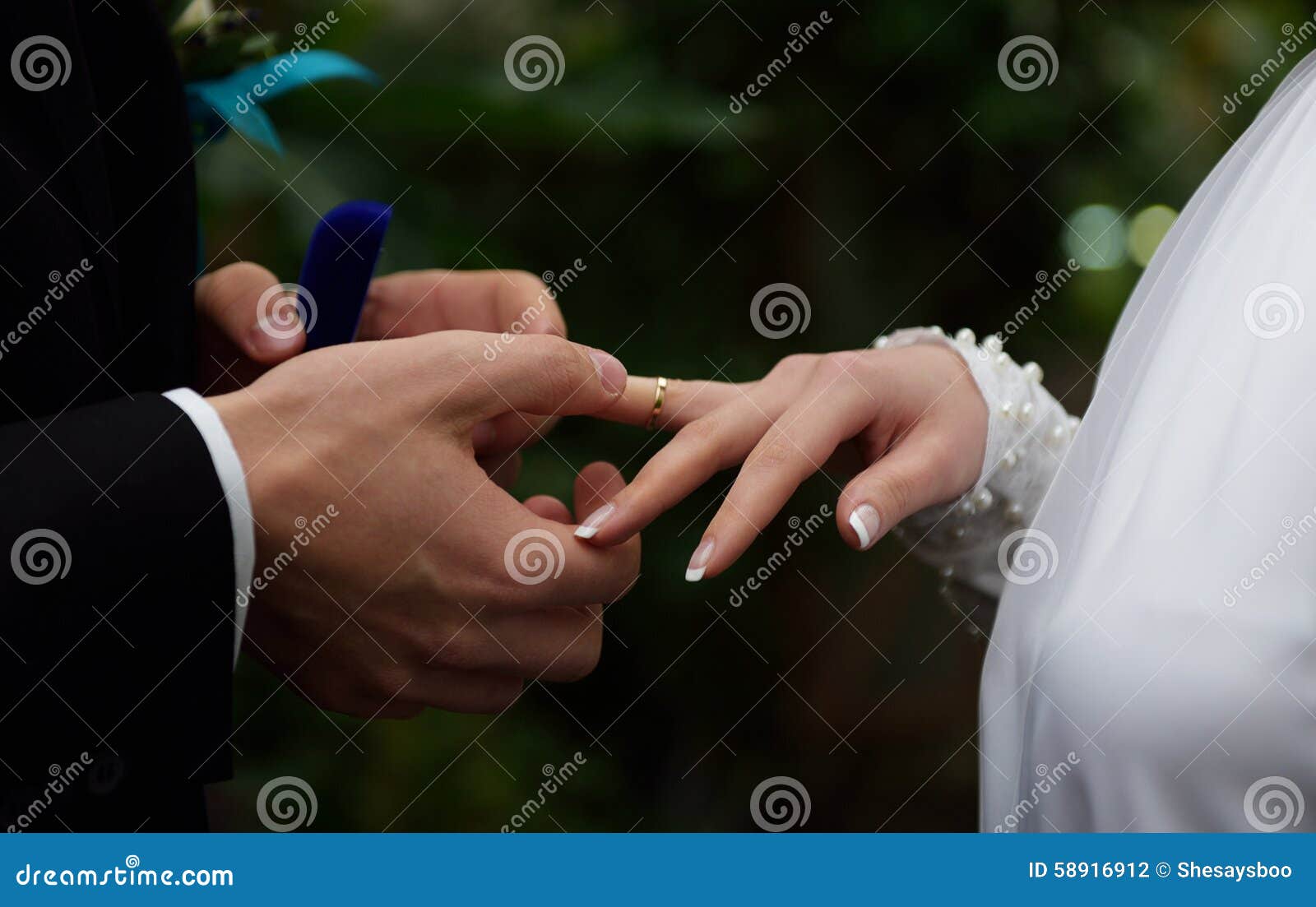 Wedding rings stock photo. Image of groom, bride, family - 58916912