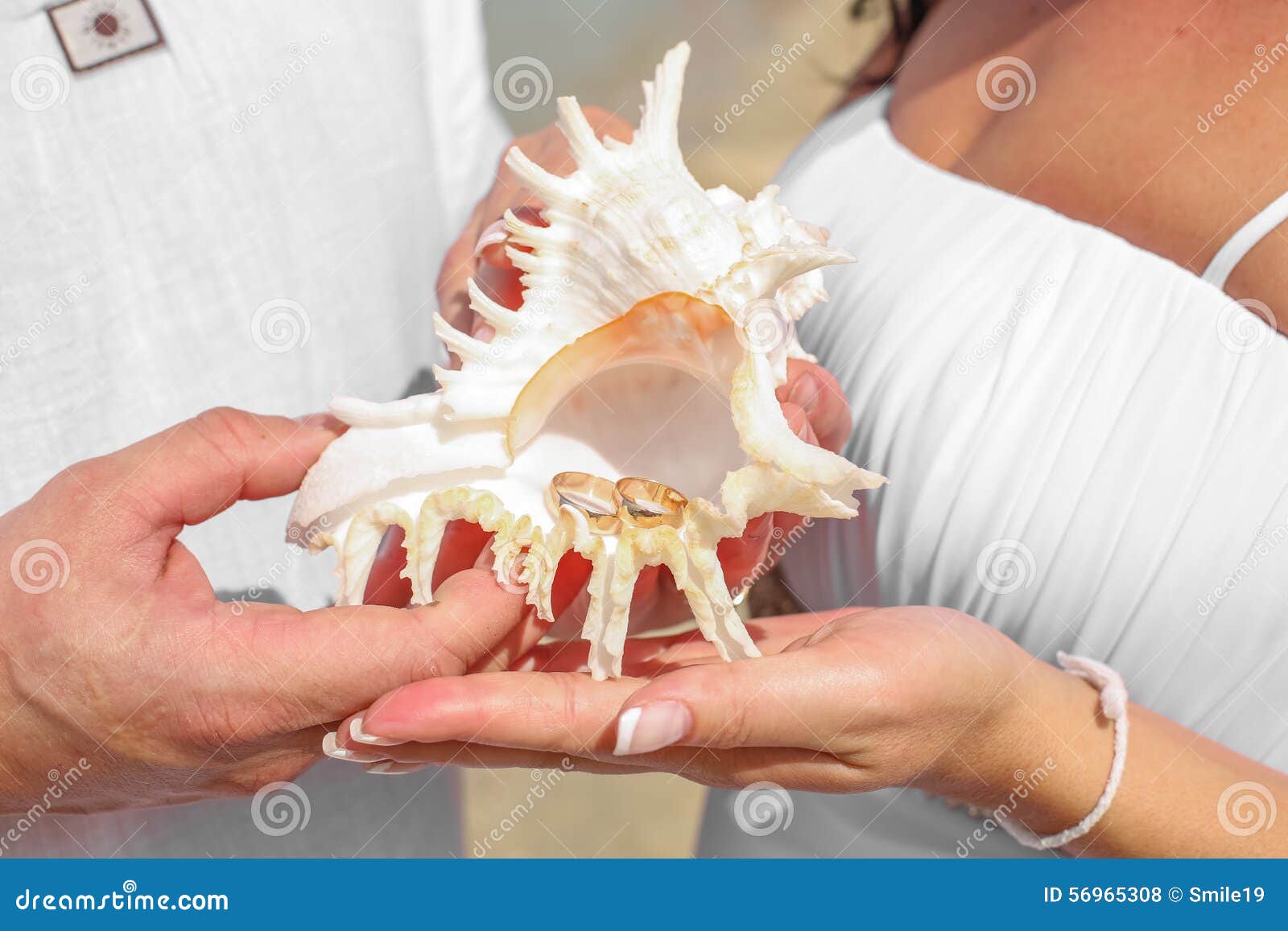 Wedding Rings Inside of a Seashell Stock Photo - Image of diamond ...