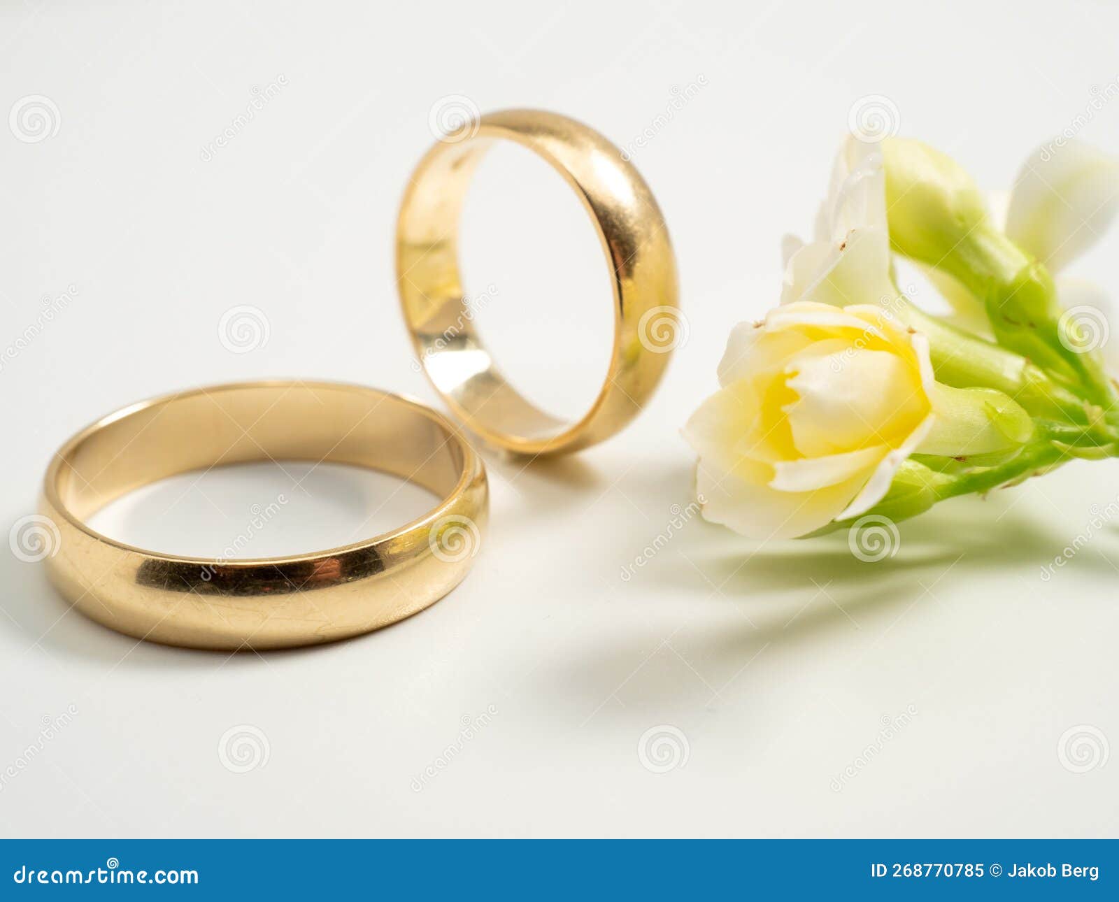 Wedding Rings on a Light Background. Gold Rings Stock Image - Image of ...