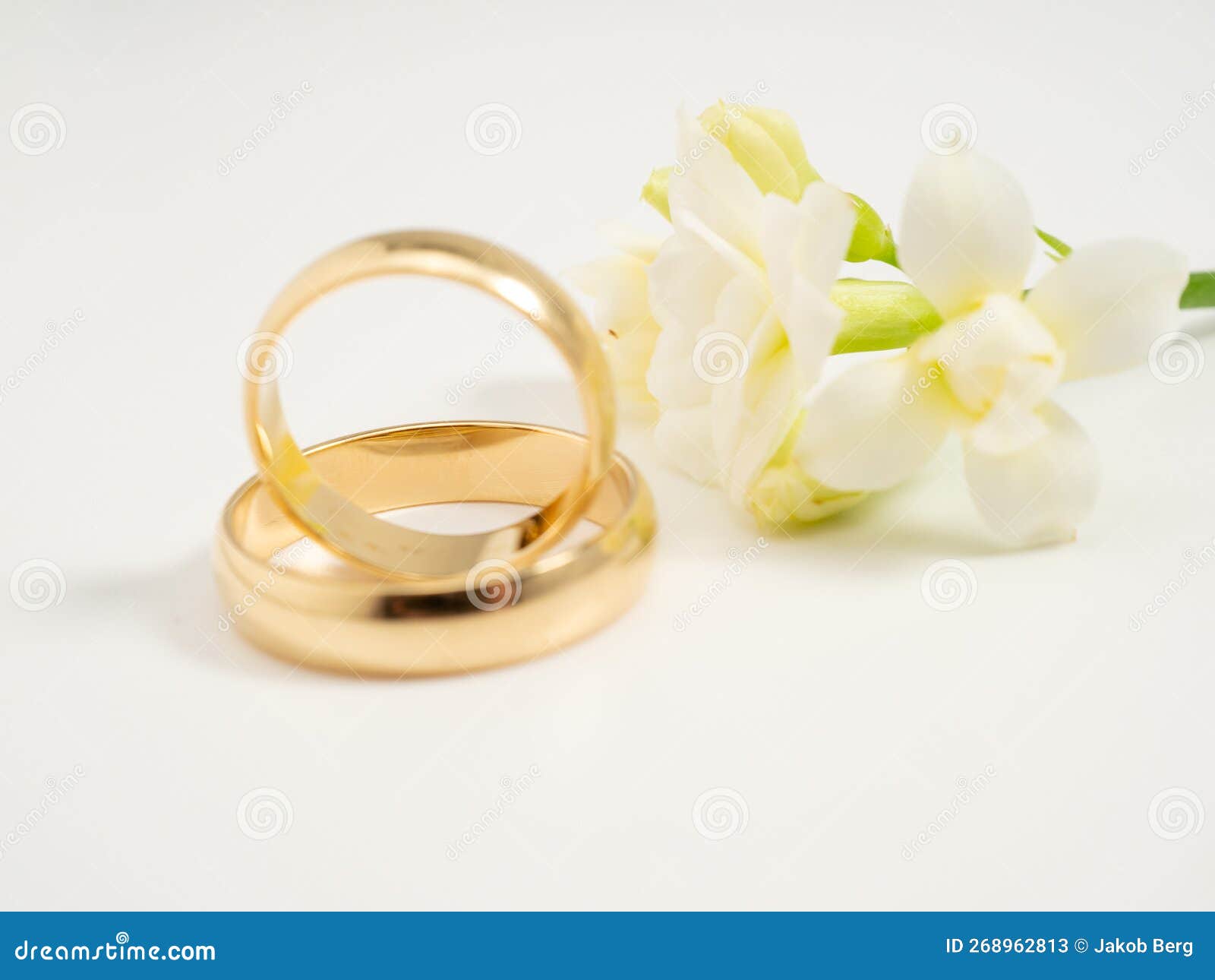 Wedding Rings on a Light Background. Gold Rings Stock Image - Image of ...