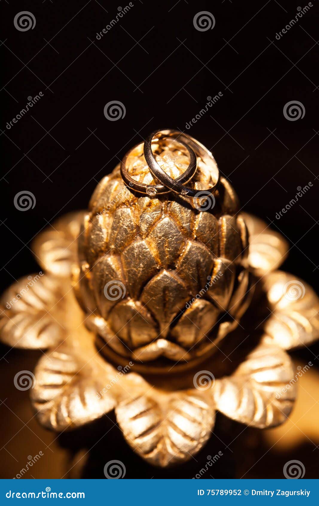 Wedding Rings on a Metallic Bronze Color Stock Photo - Image of foliage ...