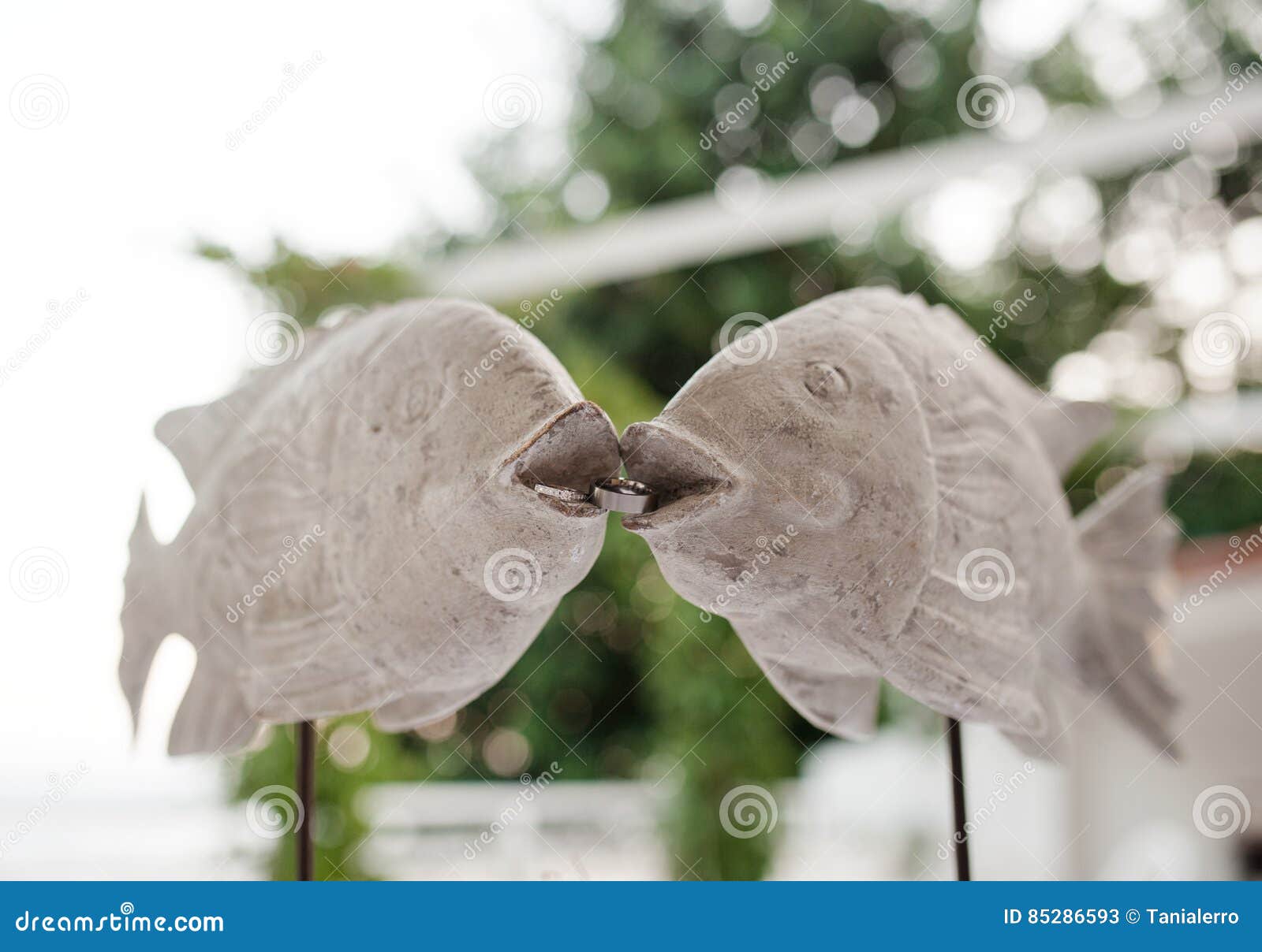 Wedding Rings in the Mouth of Two Fish Stock Image - Image of love ...