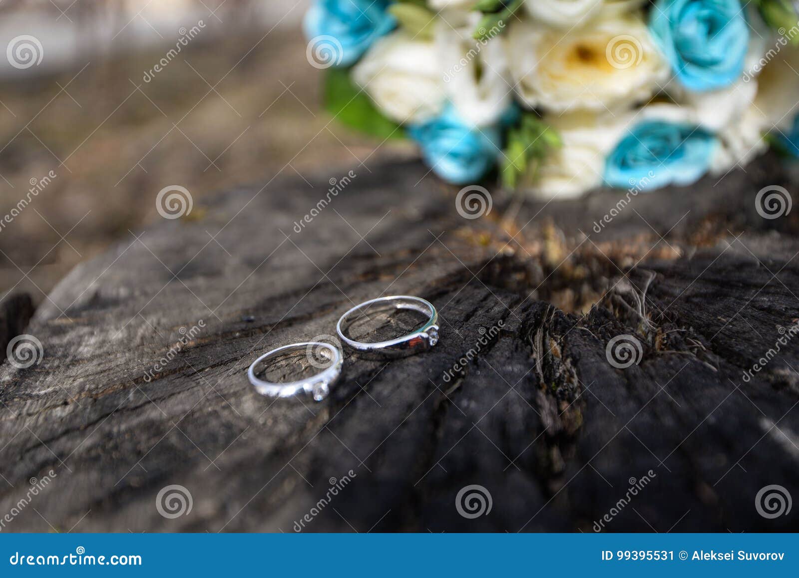 Wedding Rings Outdoors on the Tree Background Stock Image - Image of ...