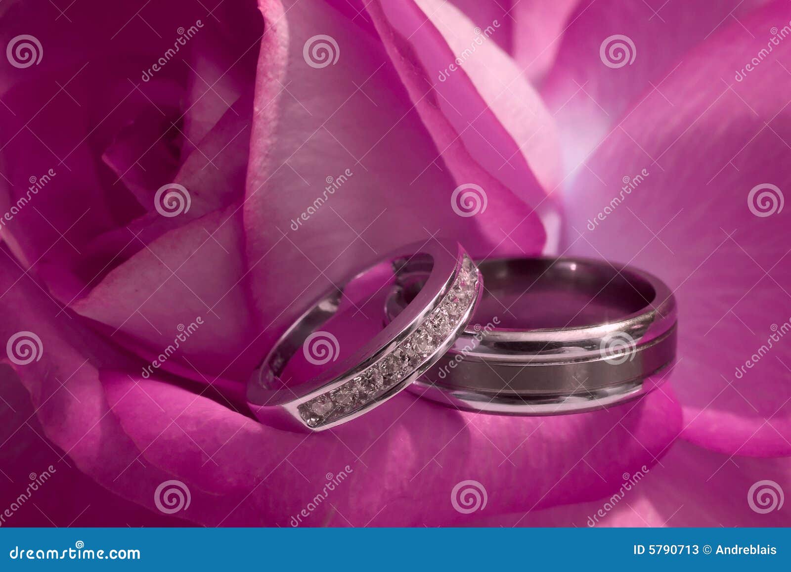 Wedding Rings on Pink Rose stock image. Image of church - 5790713