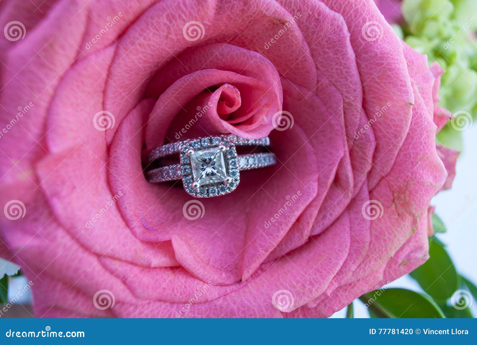 Wedding Rings in a Pink Rose Stock Photo - Image of stacked, flower ...