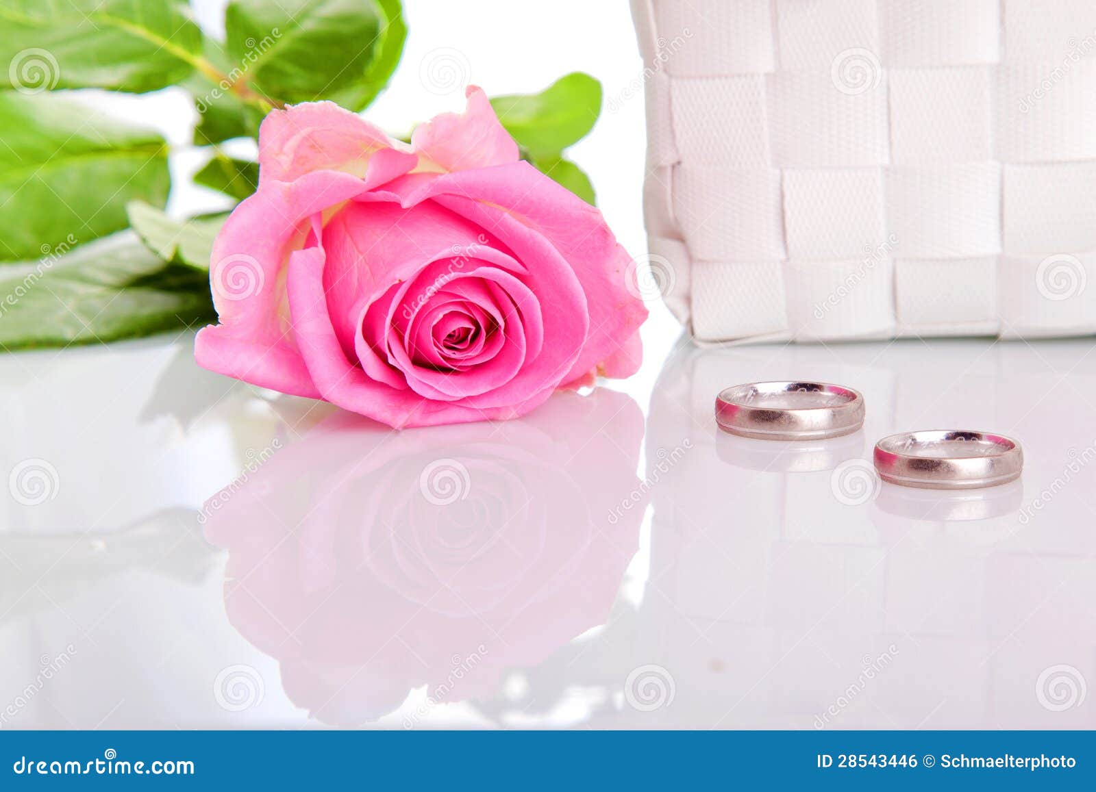 Wedding Rings and Pink Roses Stock Photo - Image of postcard, rings ...