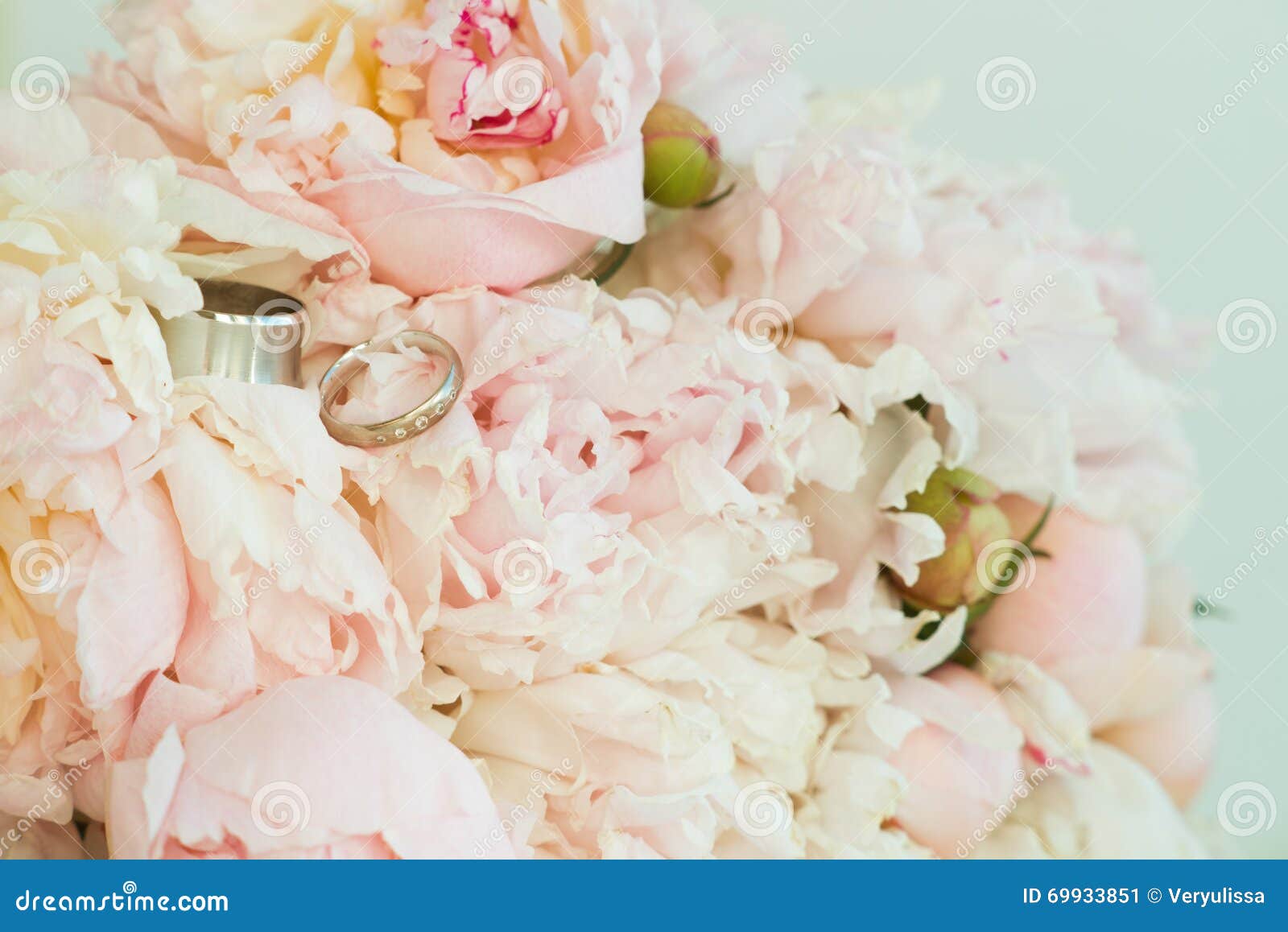 Piones Stock Photography | CartoonDealer.com #118189598