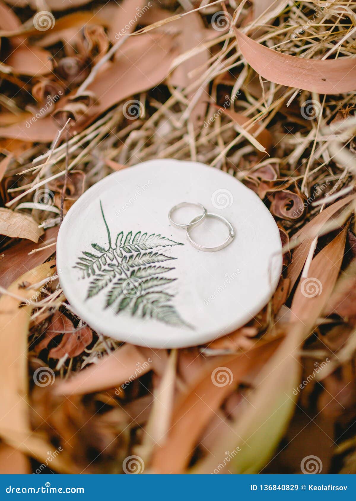 Wedding Rings on Plate. Wedding Ceremony Stock Image - Image of ...