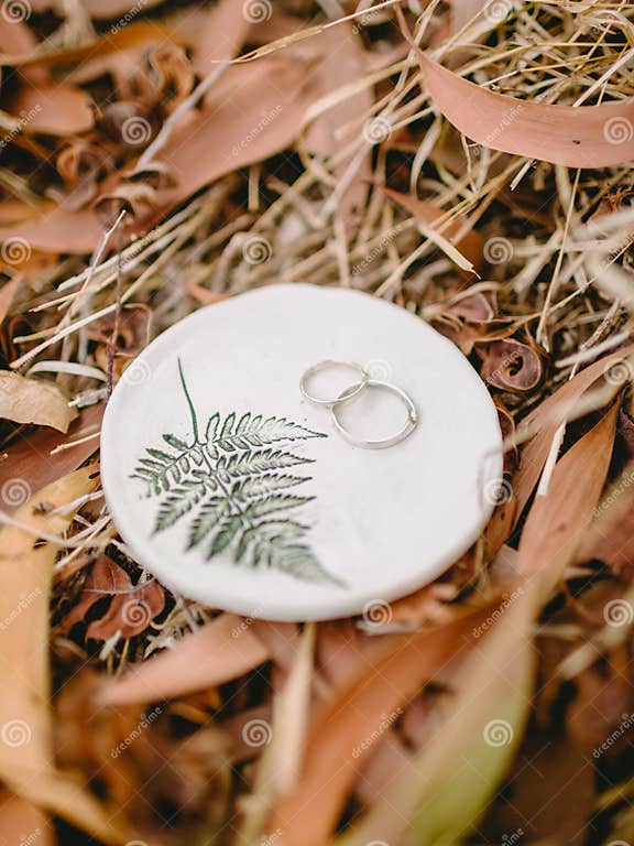 Wedding Rings on Plate. Wedding Ceremony Stock Image - Image of ...