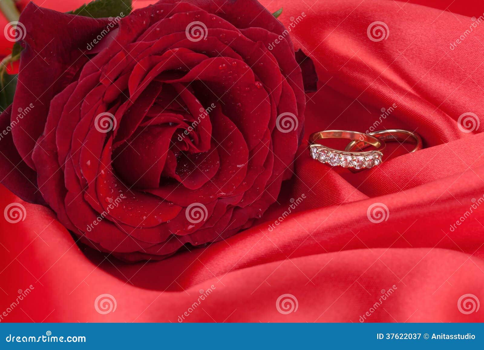 Wedding Rings with Red Rose on a Red Silk Stock Image - Image of ...