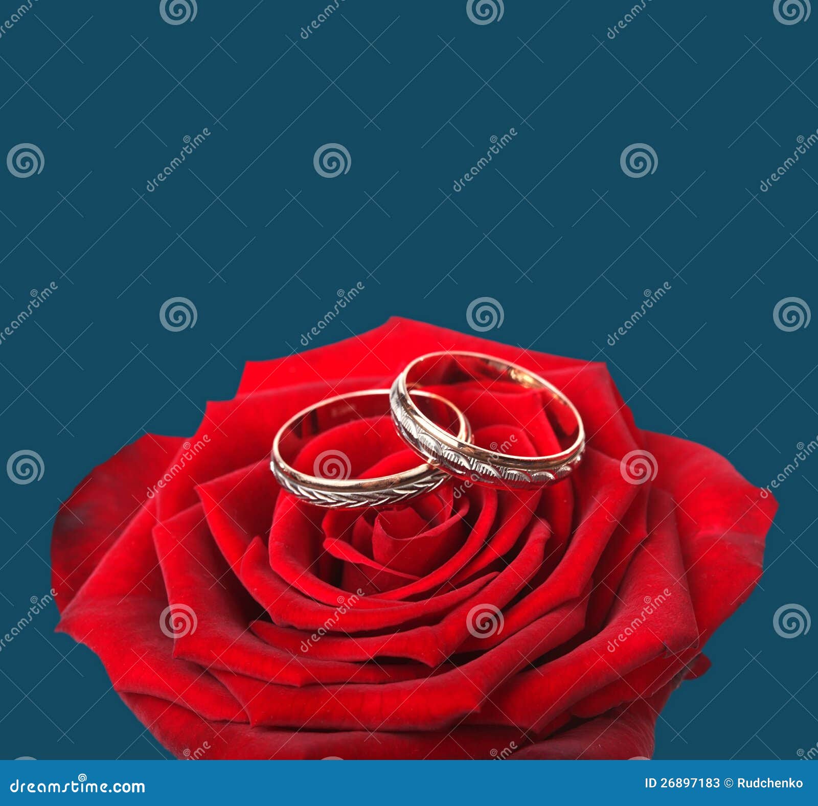 Wedding Rings and on Red Roses Stock Image - Image of background ...